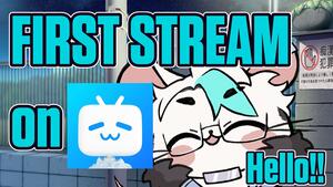 First Stream on Bilibili! Chatting and Gaming | BiliBili
