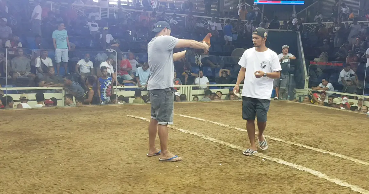 Lucena cockpit arena mayahin vs brass back - Bilibili