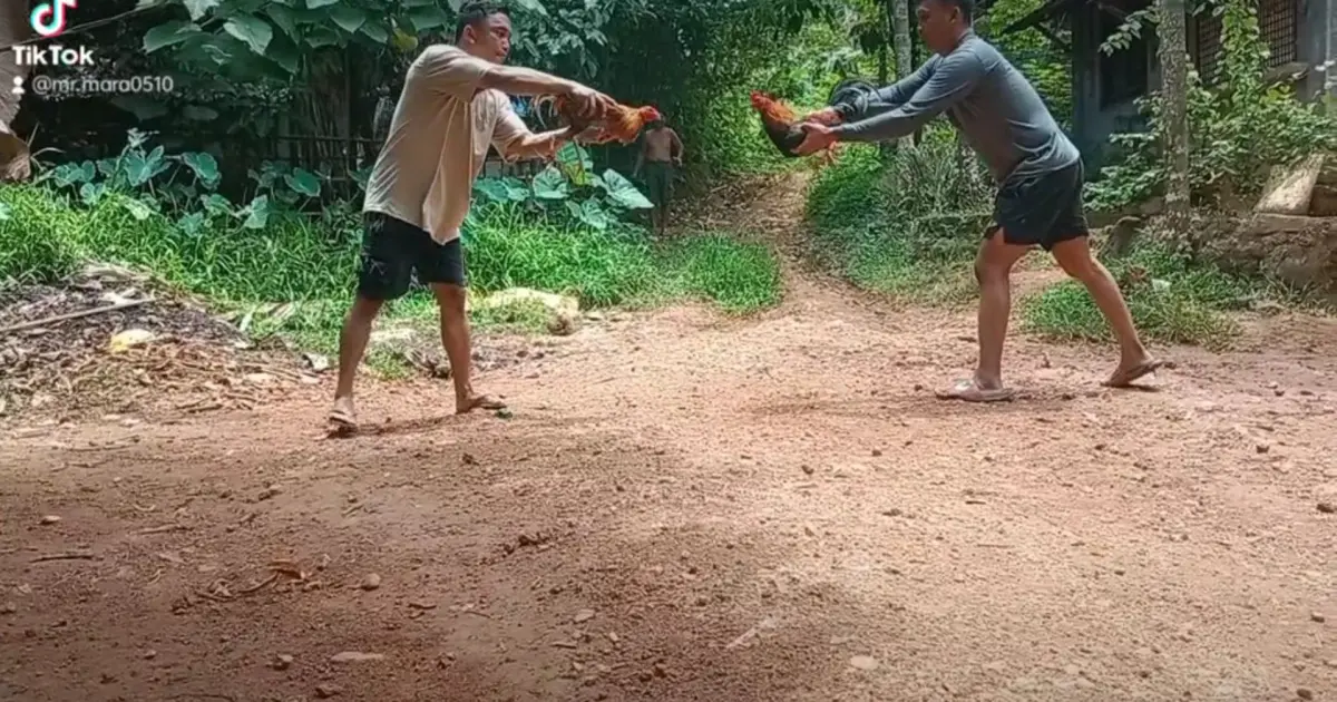 1st fight dalusapi tupada lemon (win) - Bilibili