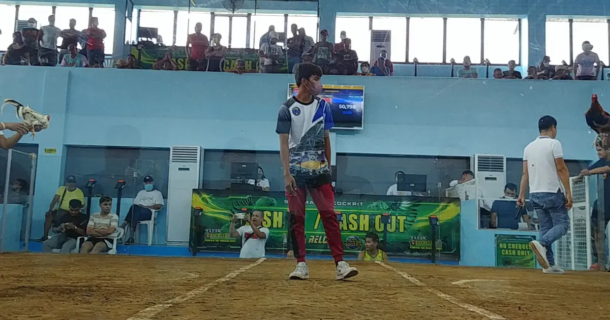 Our Swhite in San Mateo Cockpit Arena - Bilibili