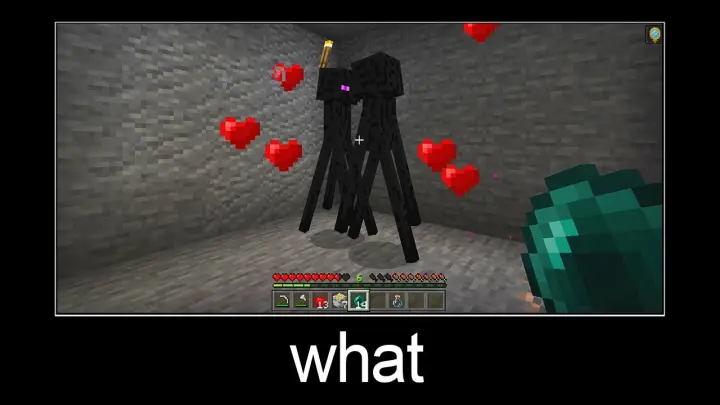 Funny Minecraft Enderman Memes