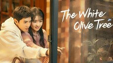 The White Olive Tree EP8 - BiliBili
