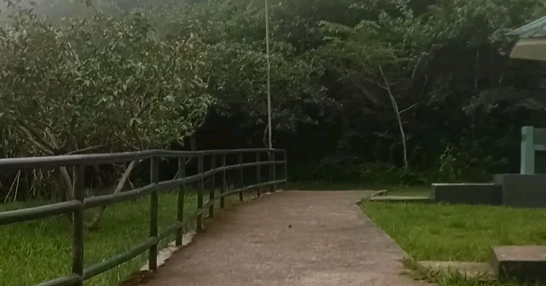 HIKE in Mt. Natib BATAAN - Bilibili