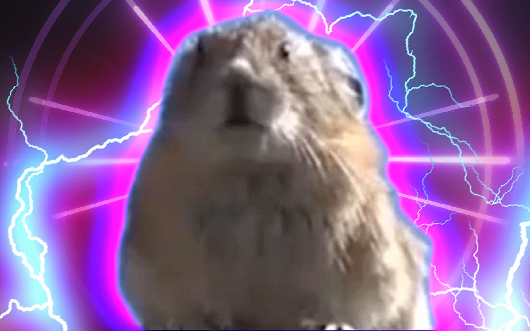 Dramatic Prairie Dog Gif