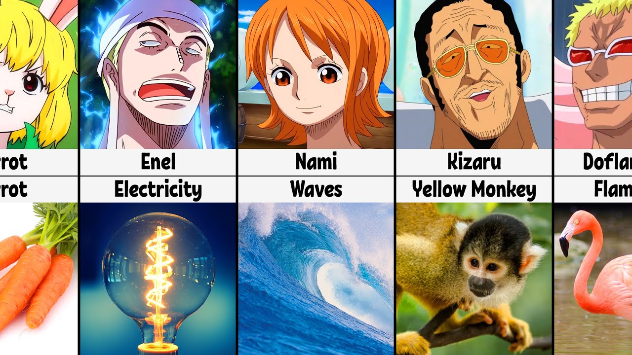 One Piece Characters Girls Name