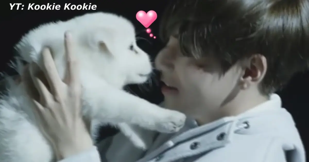 BTS (방탄소년단) with animals - Bilibili