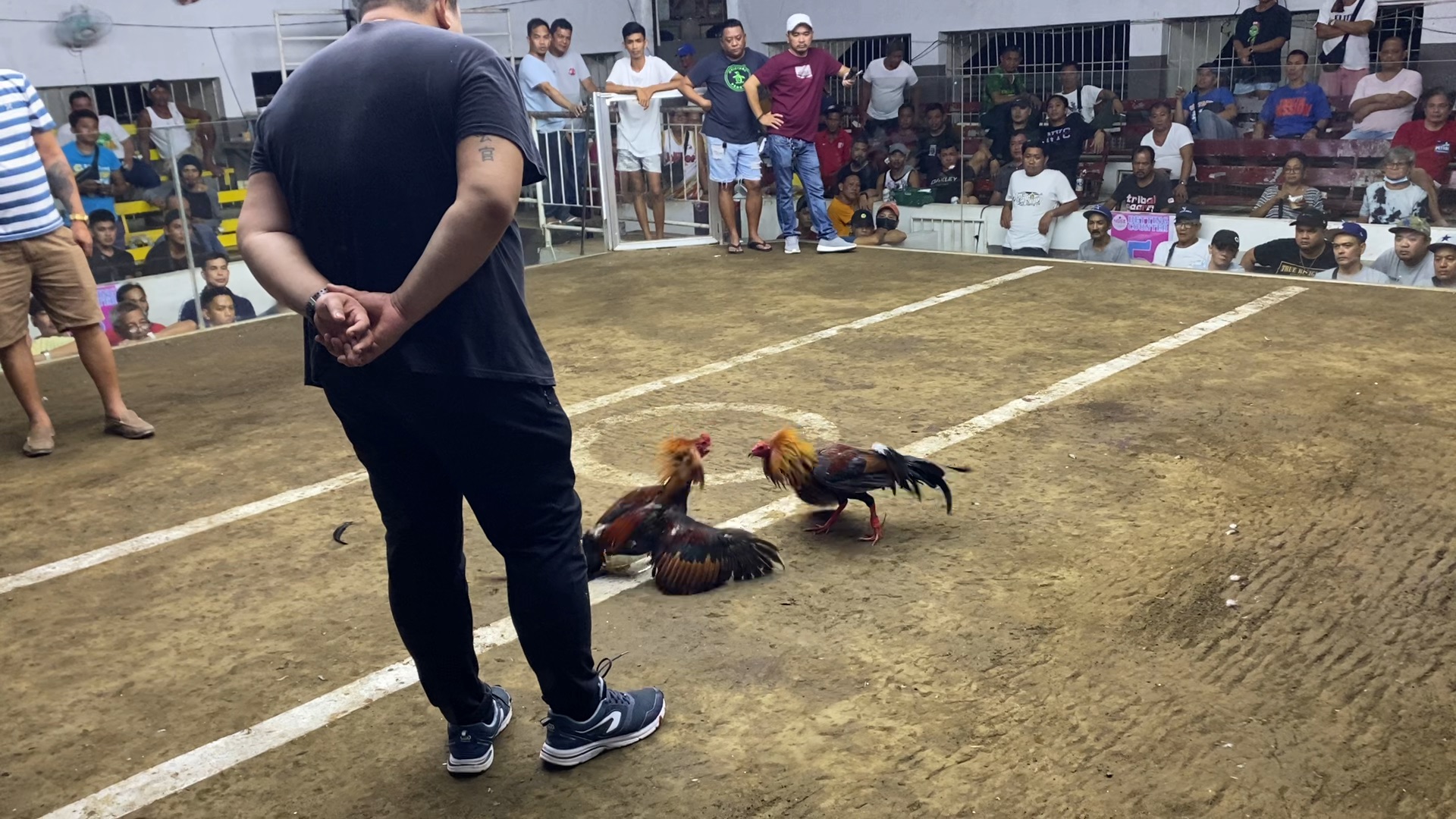 Tari Ng Manok Tribal