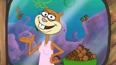SpongeBob - sandy hibernasi - BiliBili