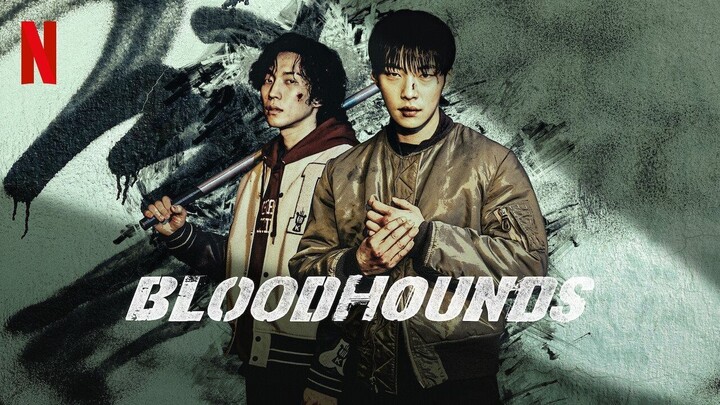BiliBili search - bloodhound