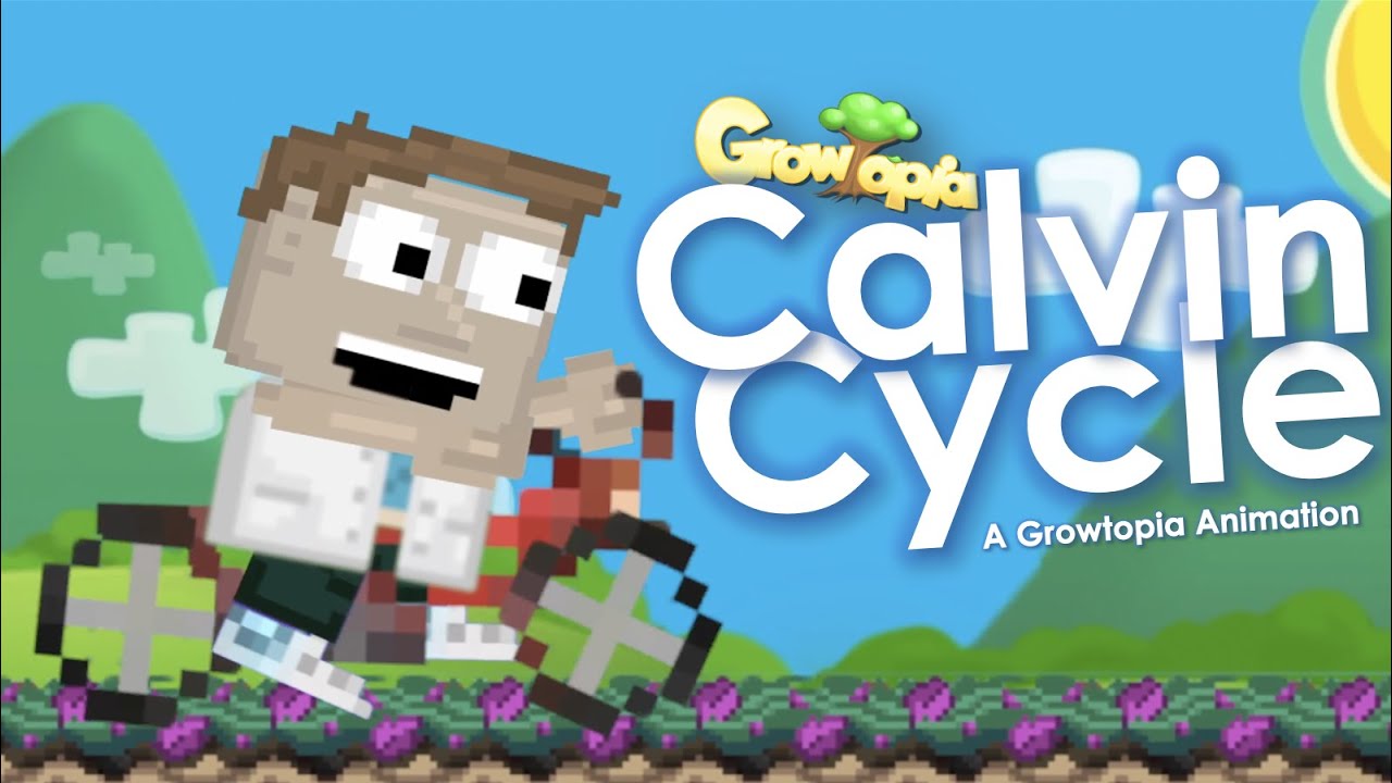 Calvin Cycle Animation