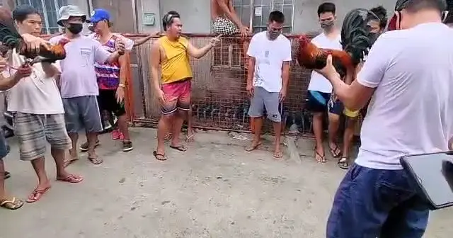 padugo lng muna - Bilibili