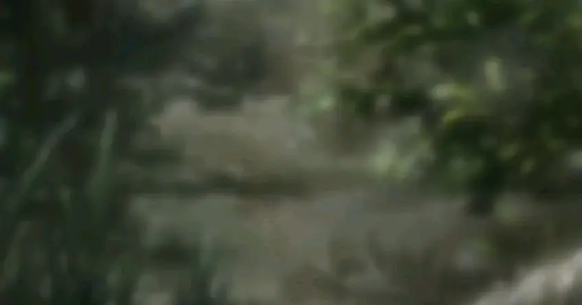 OVA 3 yona - Bilibili