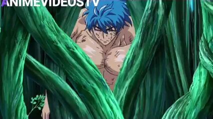 Bstation Cari - Toriko