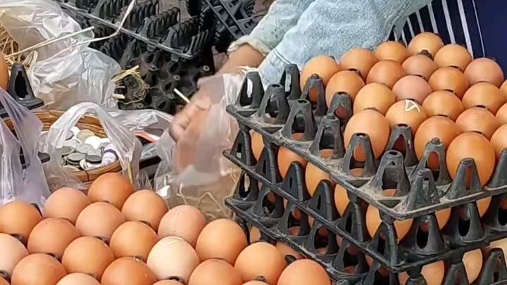 Bob Channel_7265's space - BiliBili