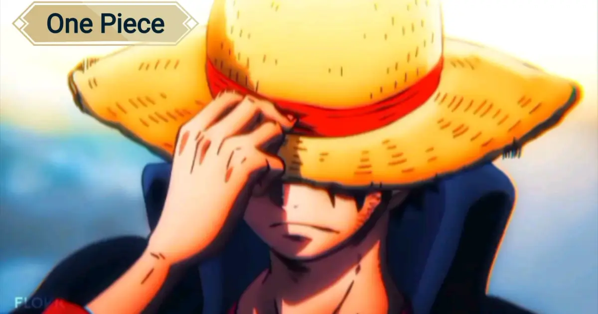 Monkey D Luffy - Bilibili