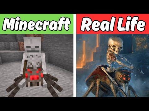Minecraft Real Life Spider