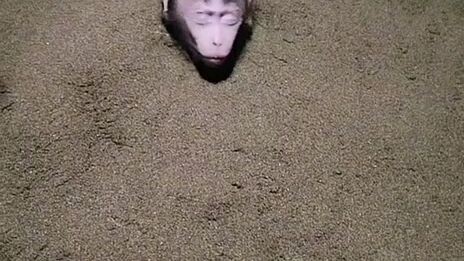 KarenMafia's space - BiliBili