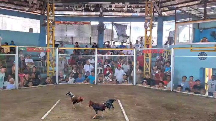 MALANITGF's space - BiliBili