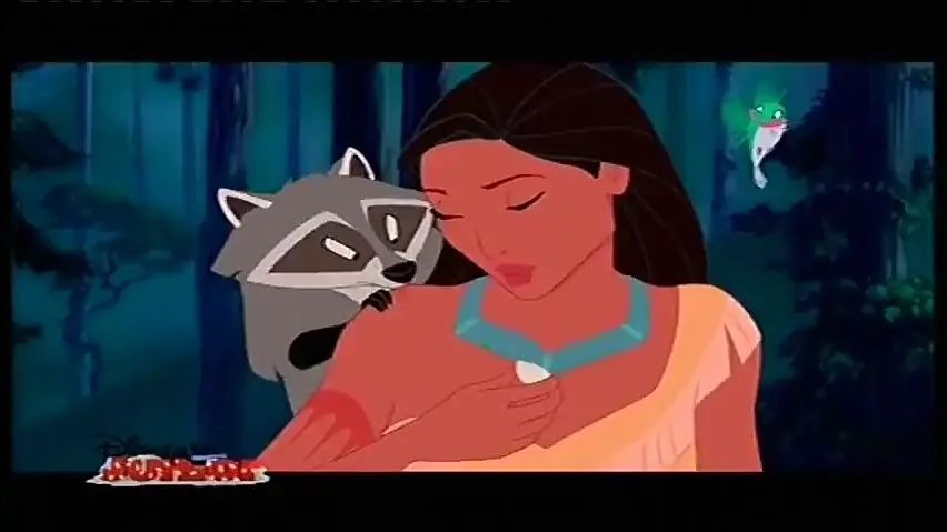 Pocahontas Hummingbird And Raccoon