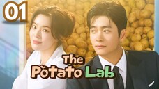 02 | The Potato Lab [Eng Subs] - BiliBili