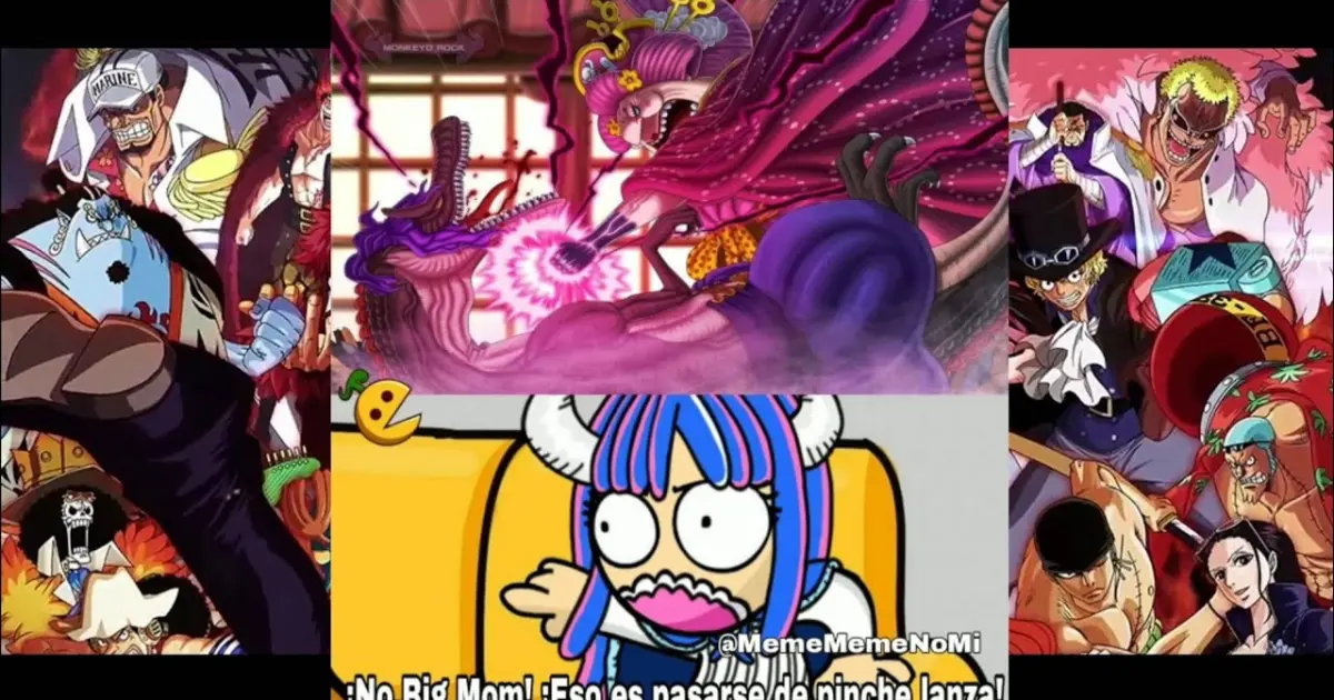 memes de one piece #95 - Bilibili