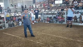 white choco win at new balayan cockpit arena - BiliBili