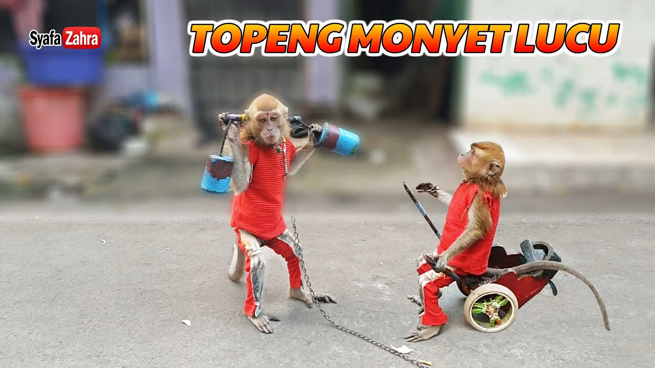 Memes Moyet Lucu