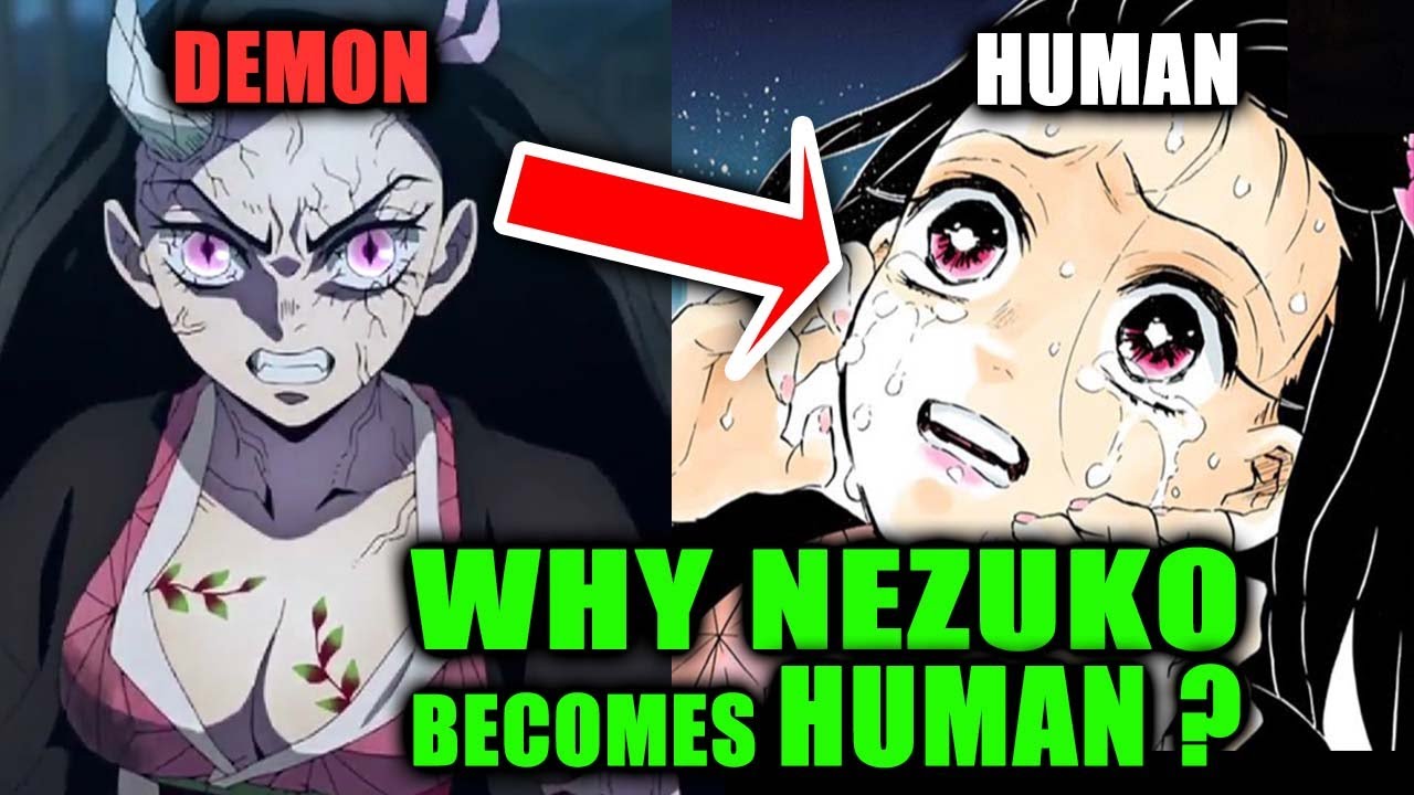 Is Nezuko A Human Now - Infoupdate.org
