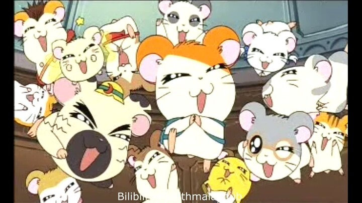 BiliBili