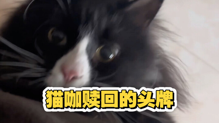 patty_riddle_02's space - BiliBili