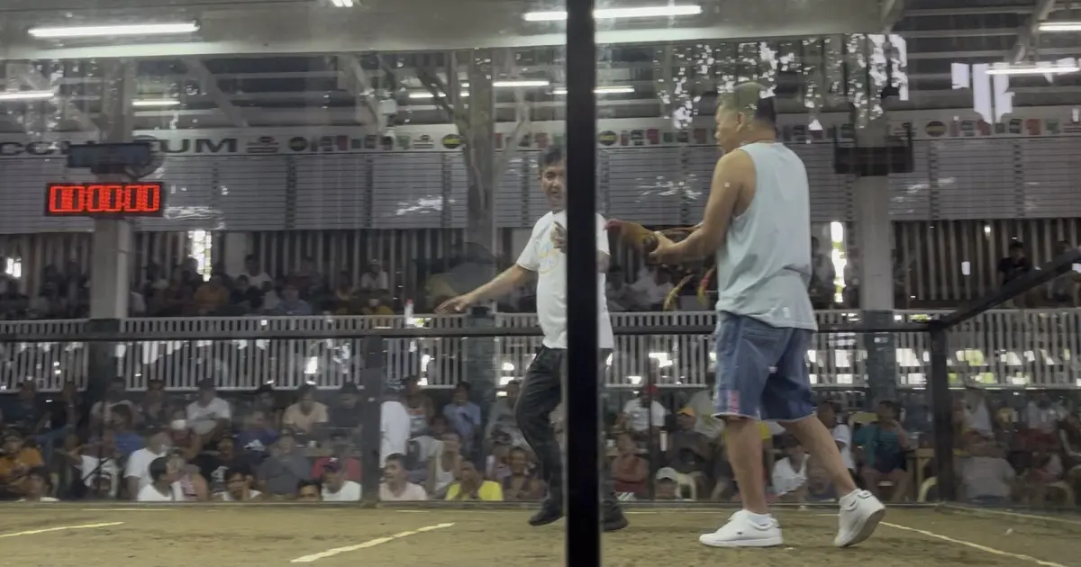 Dragon Hawk @ Pangasinan Coliseum WWWL_fight 1 Win - Bilibili